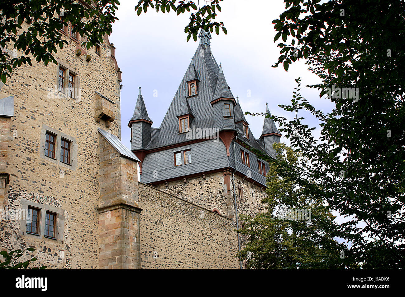 tower hesse watchtower chateau castle tower tree stone window porthole ...