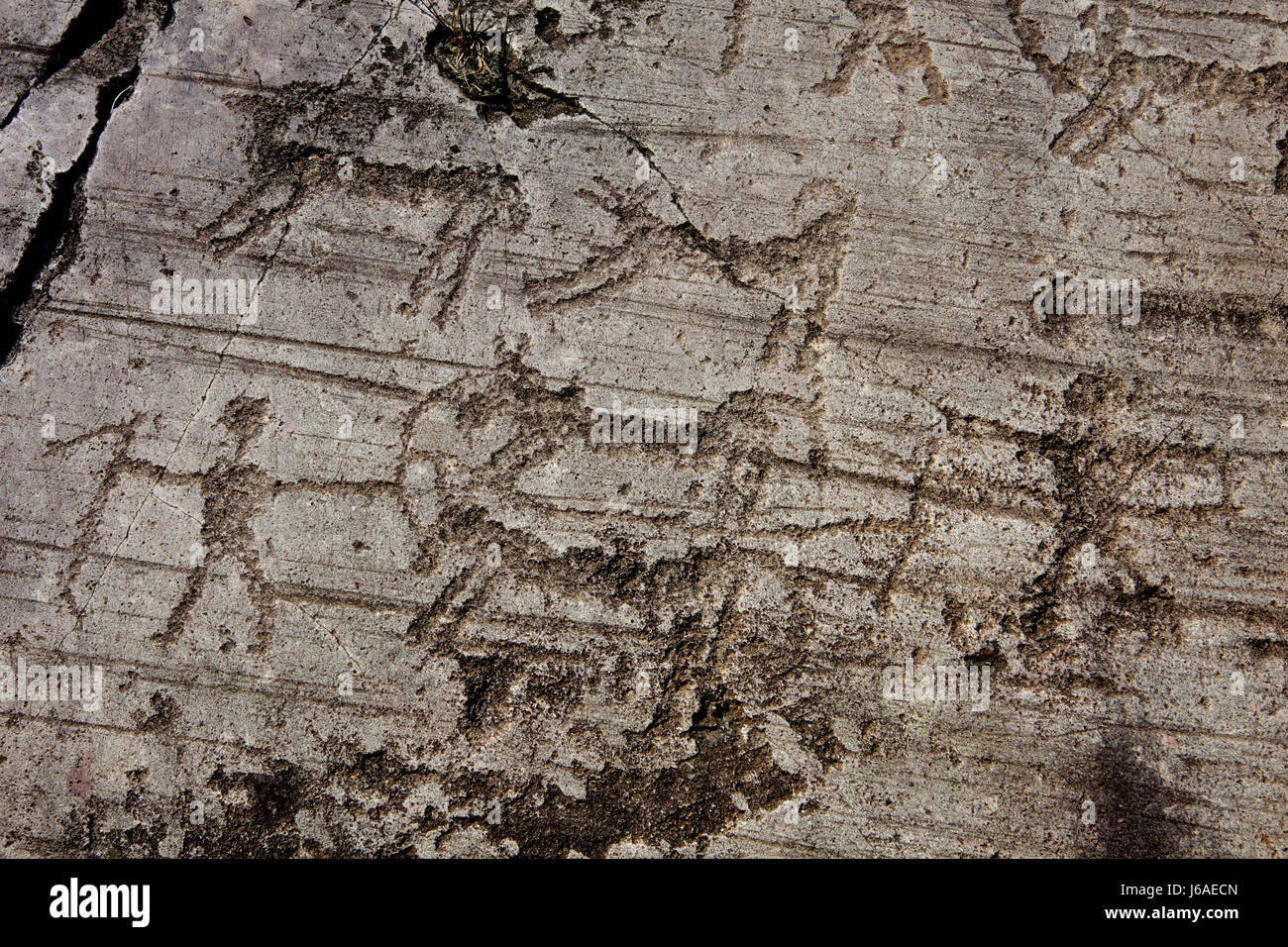 art stone horse animal hunter rock horizontal hunt daub graffiti ...