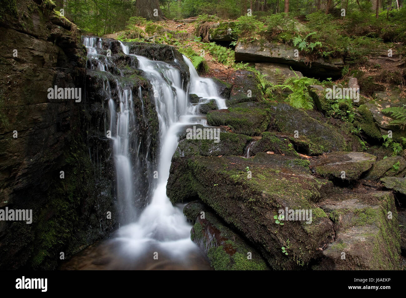 stream rock waterfall source spring water river water stones tree trees ...