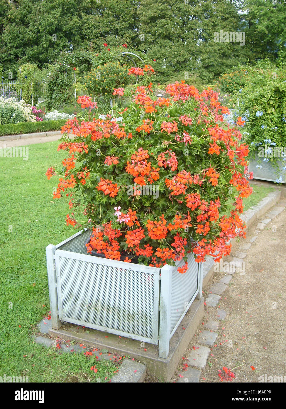 Orange stands hi-res stock photography and images - Alamy