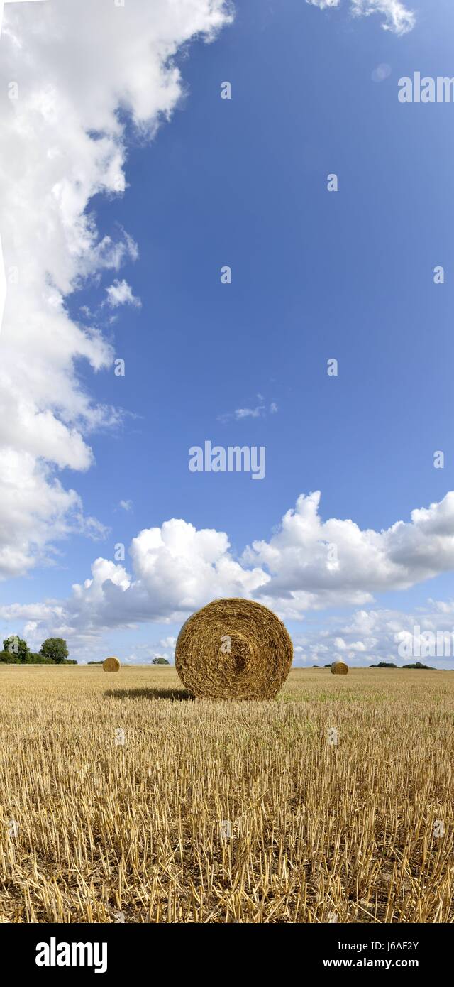 agriculture farming field sight view outlook perspective vista panorama ...
