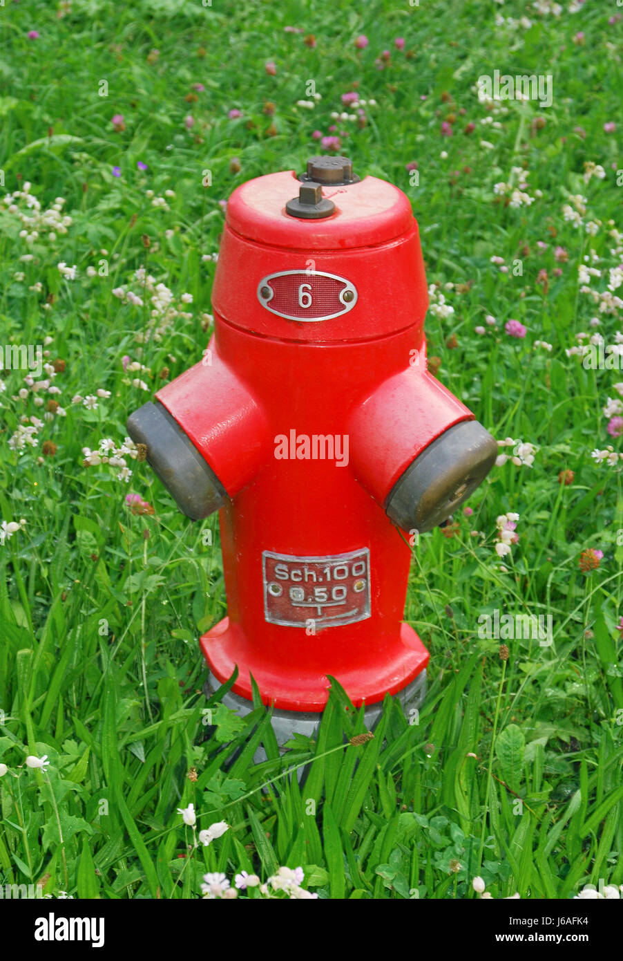 meadow grass lawn green security safety red fire security object ...