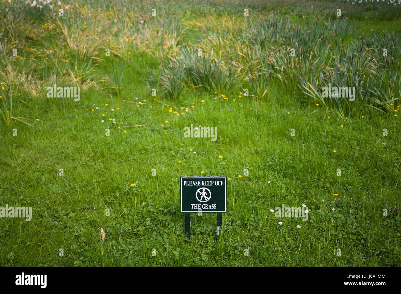 sign signal flower plant gardening negative pictogram symbol pictograph ...