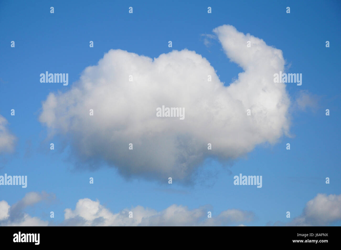 cloud - cloud formation - elephant Stock Photo - Alamy