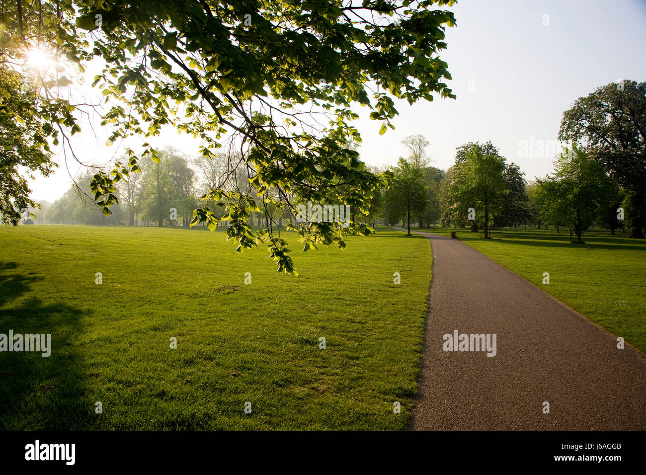 park garden refreshment gratitude simplicity nature travel city town ...