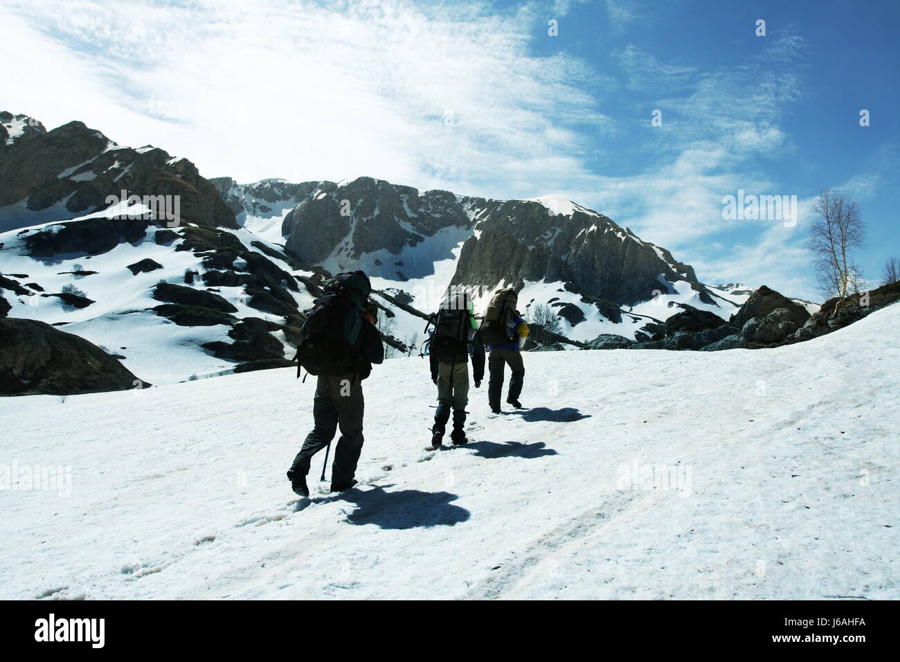 humans human beings people folk persons human human being walk go going ...