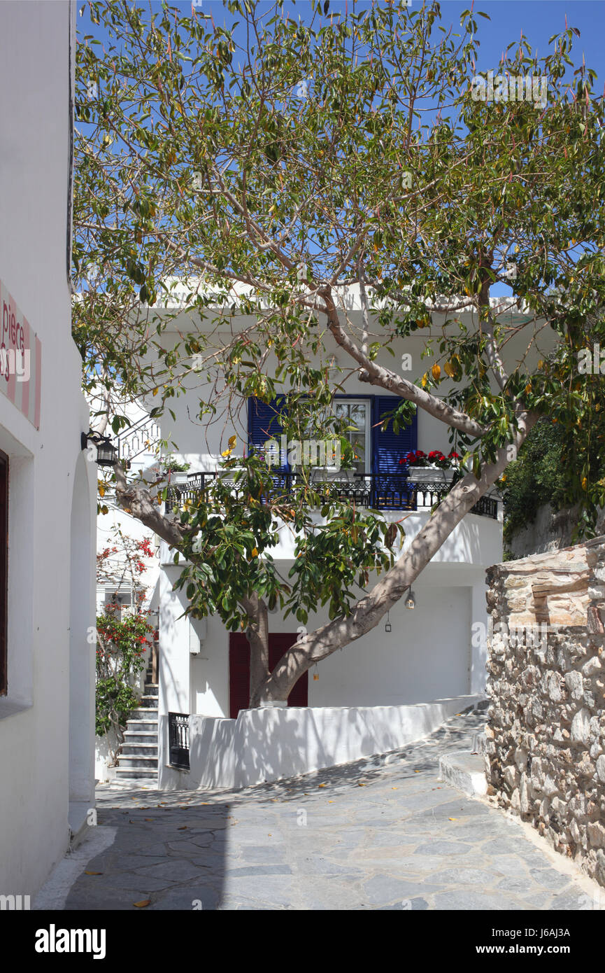 Ancient streets and tourism trees hi-res stock photography and images ...