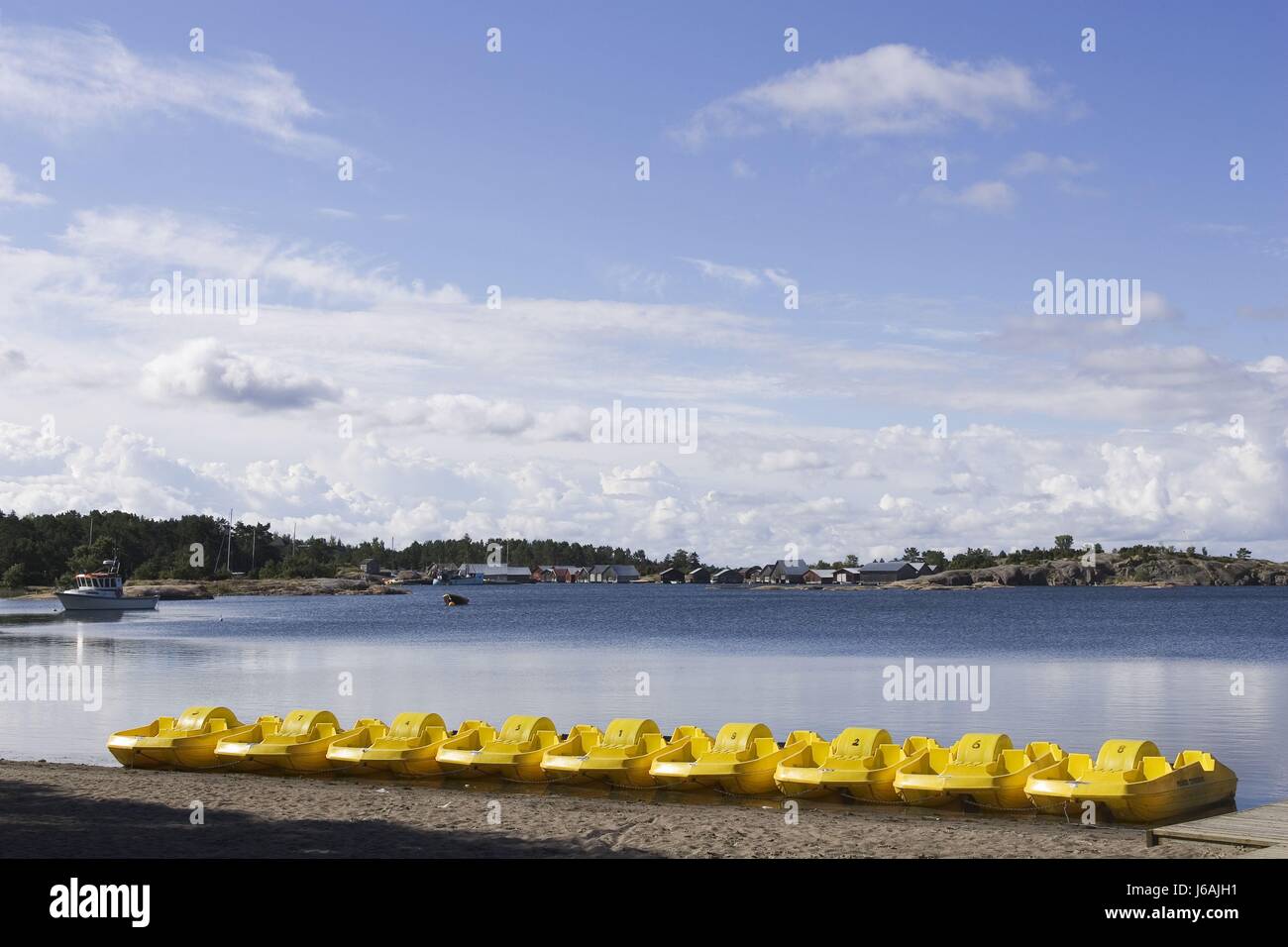 arrangement tree trees horizontal row series photography photo picture ...