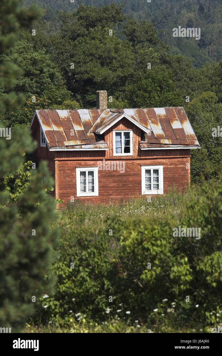 house building tree trees window porthole dormer window pane rusty ...