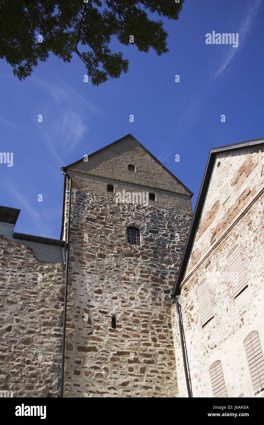 tree window porthole dormer window pane wall photography photo picture ...