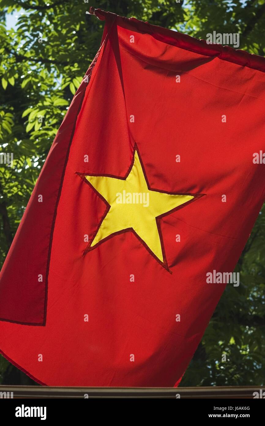 detail symbolic tree trees leaves flag photography photo picture image ...