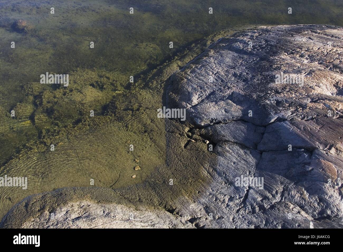 shine shines bright lucent light serene luminous ground soil earth ...