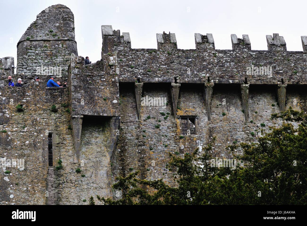 Diagram Of Castle Parapet