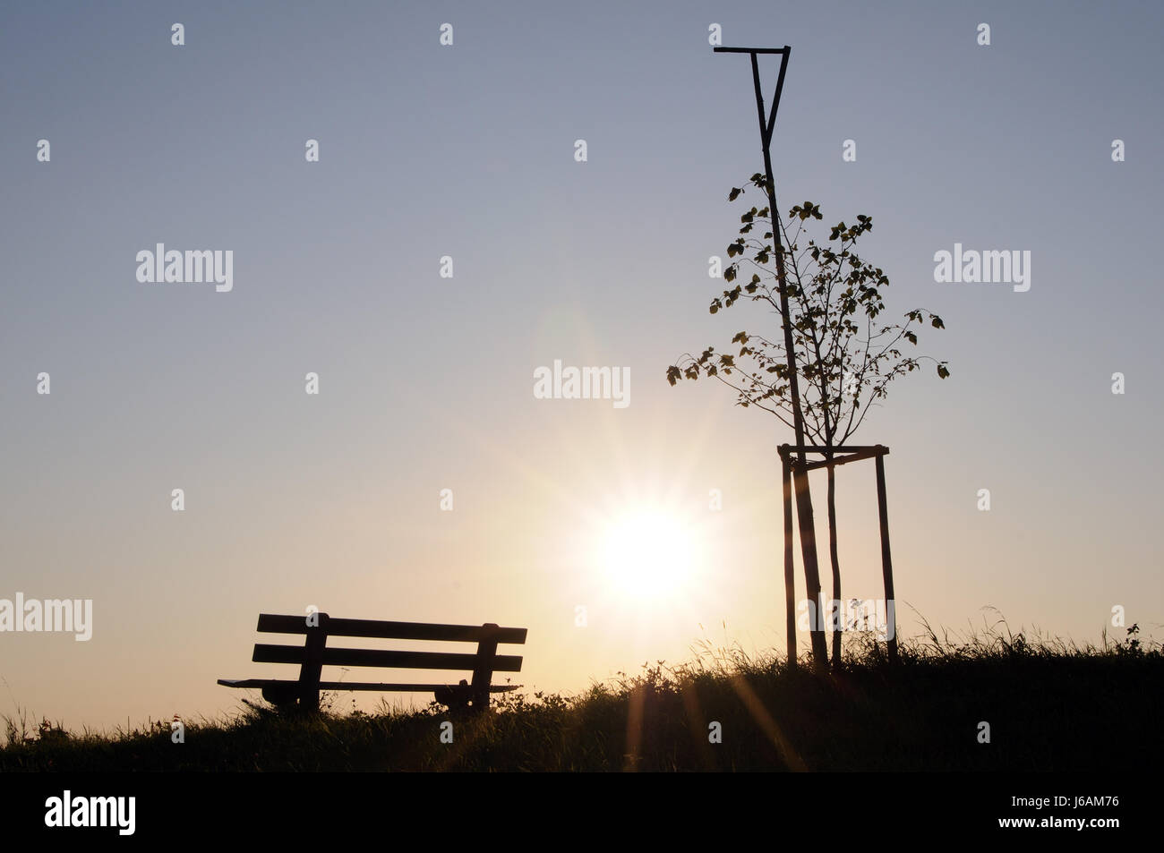 life exist existence living lives death tree future counter-light hope ...