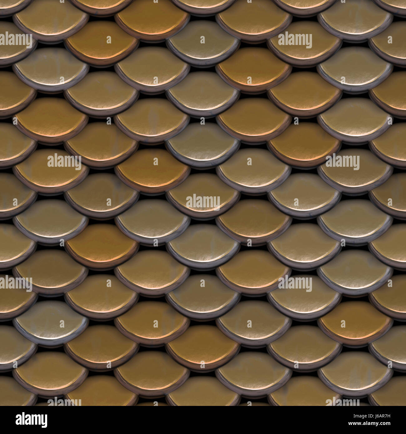 Antique shell illustration hi-res stock photography and images - Alamy