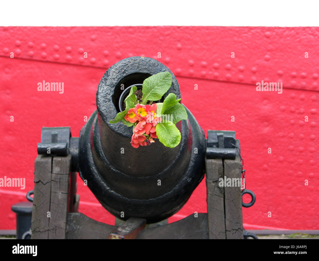 Gun for peace hi-res stock photography and images - Alamy