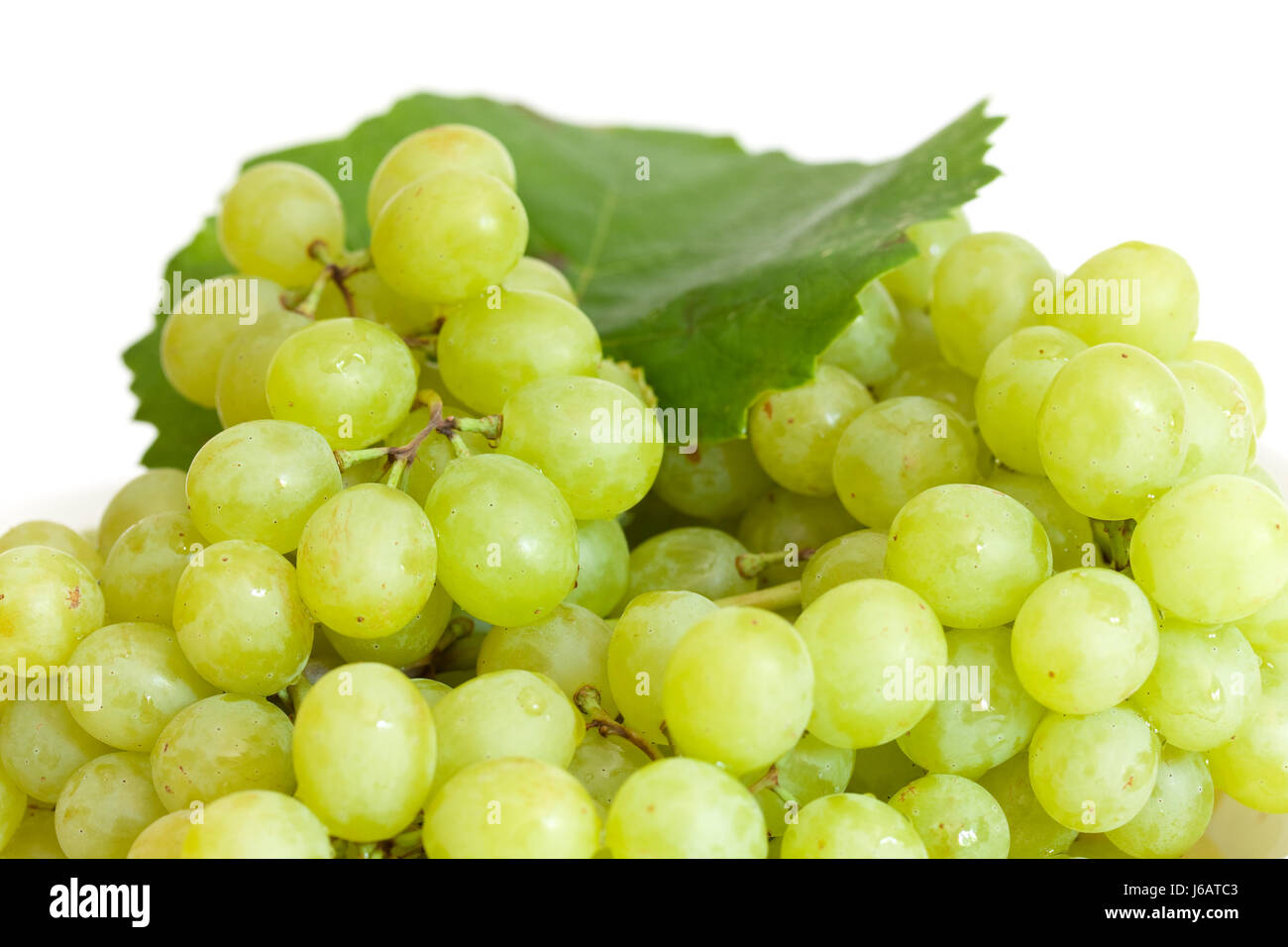 vitamins vitamines optional grapes fruit viticulture vine grape vine ...