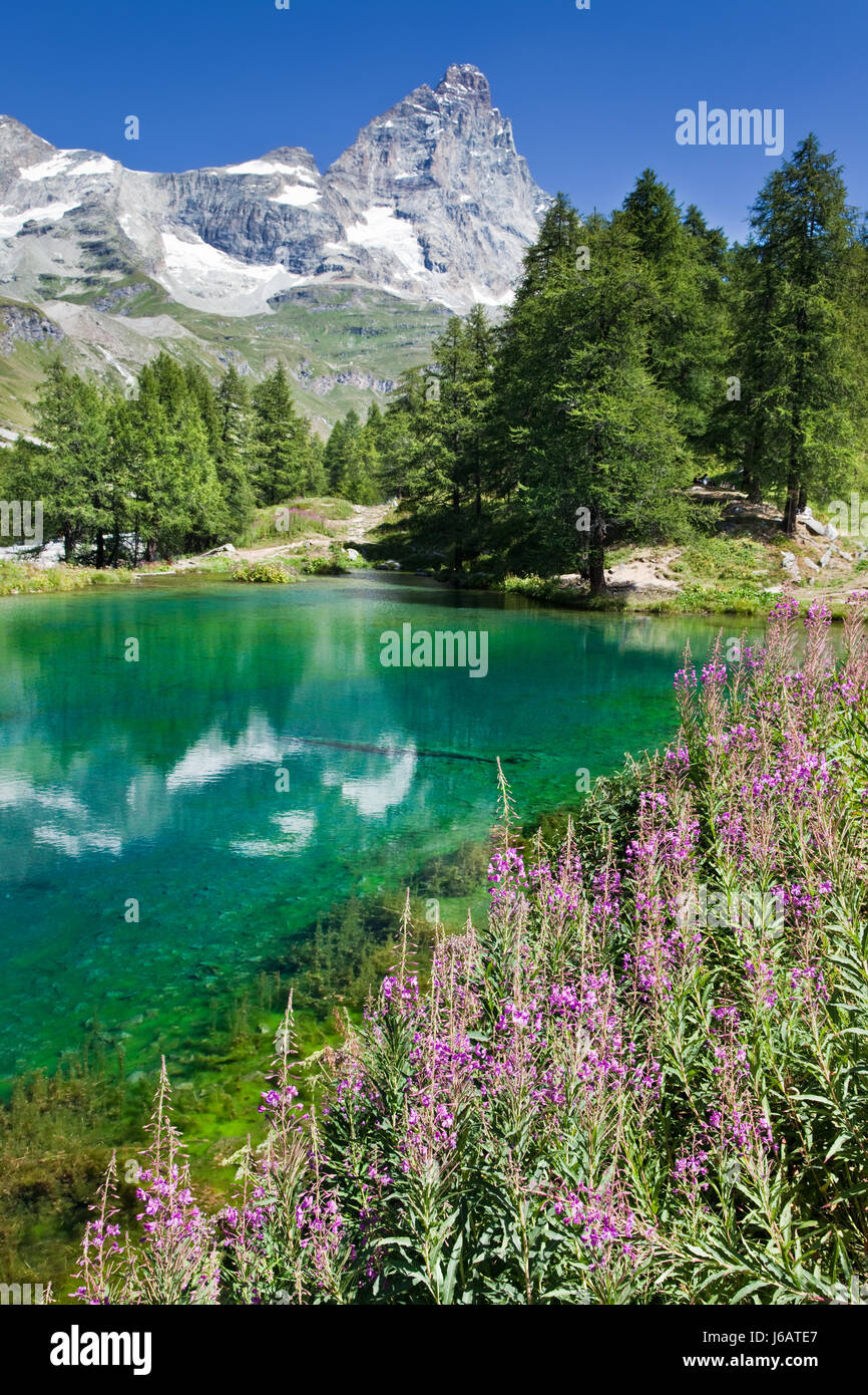 fresh water lake inland water water landscape scenery countryside ...