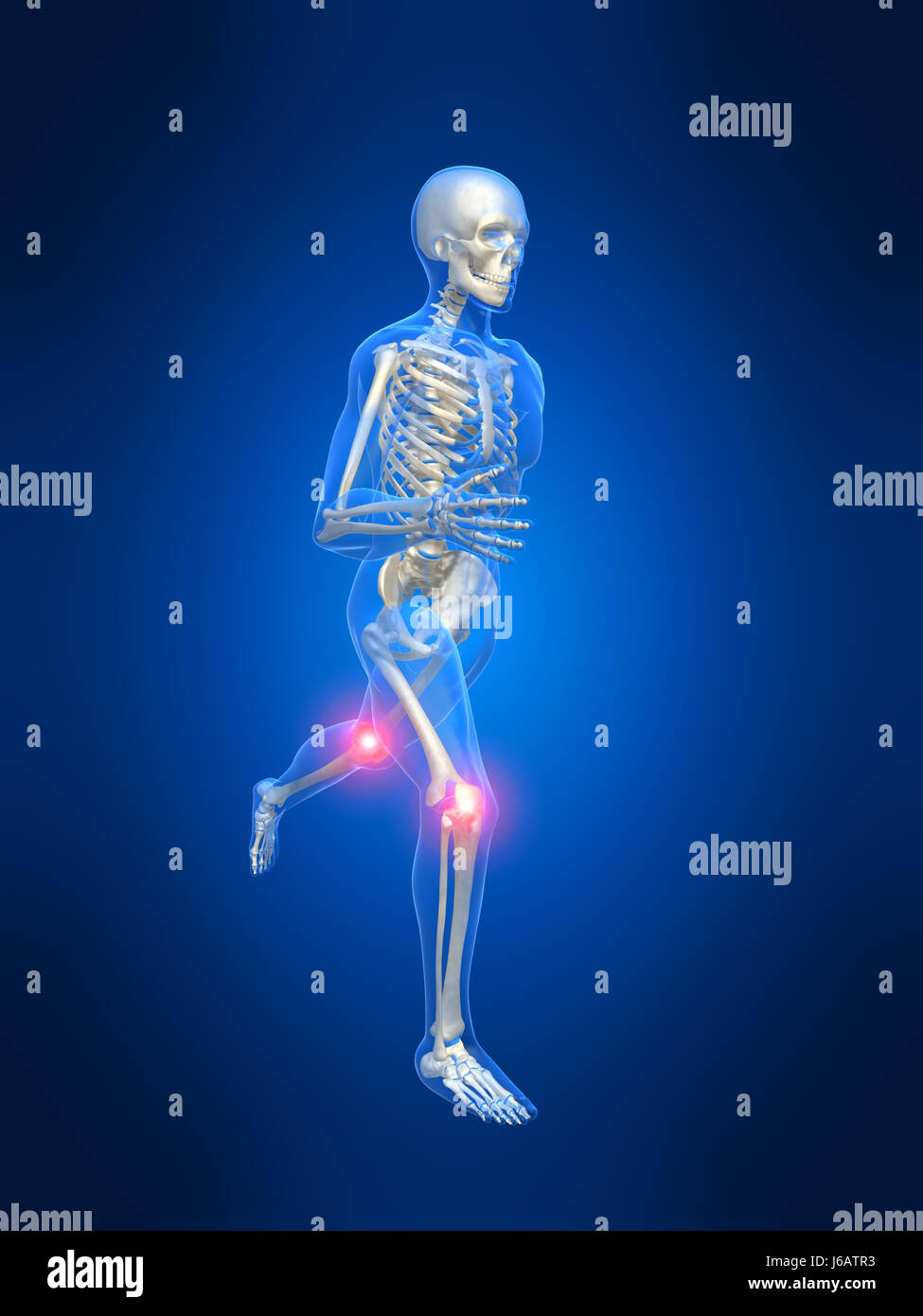 Medical skeleton running knee joints hi-res stock photography and images - Alamy