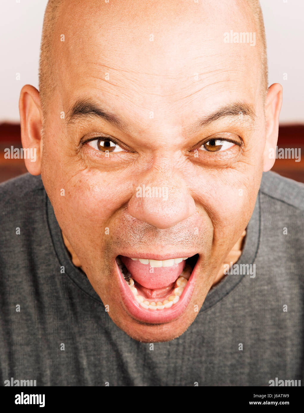 closeup expression yell raving furious angry irately bald man head ...