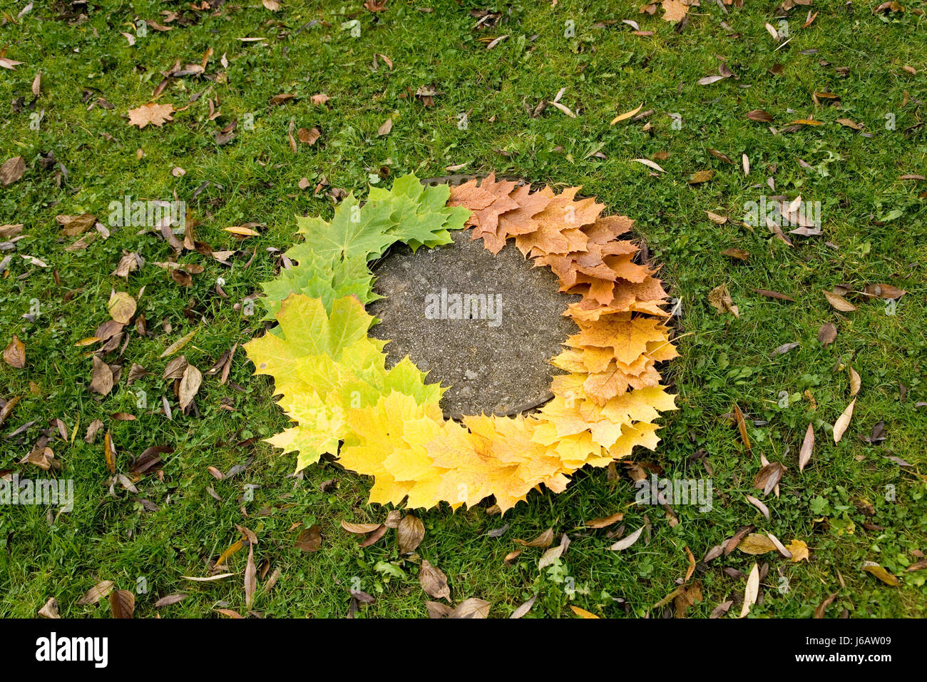 Nature In Circles Vintage