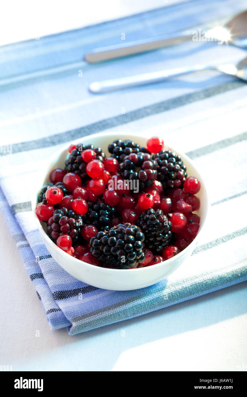 black currants blackberries currant dessert blackberry sweetly ...