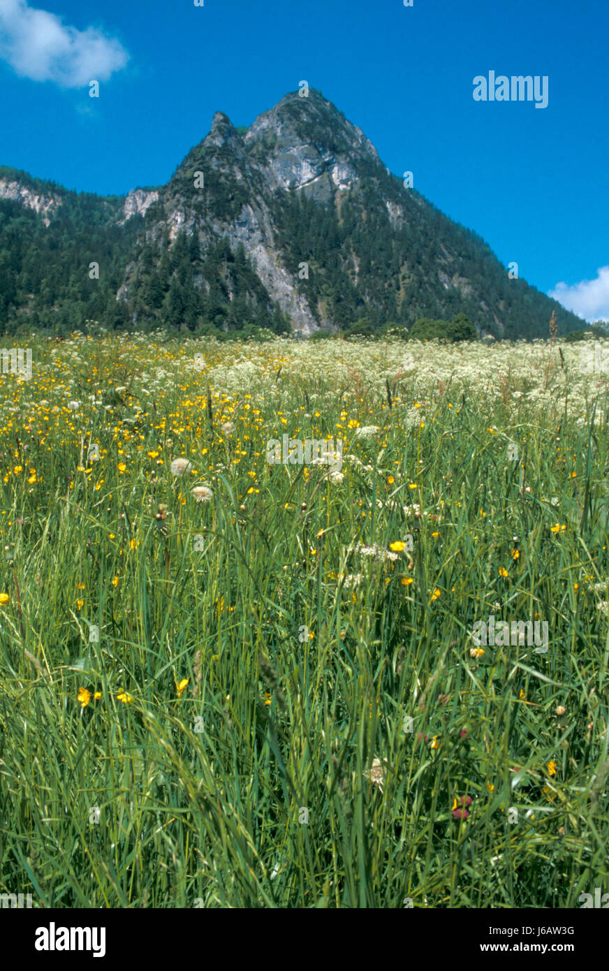 Nordalpen hi-res stock photography and images - Alamy