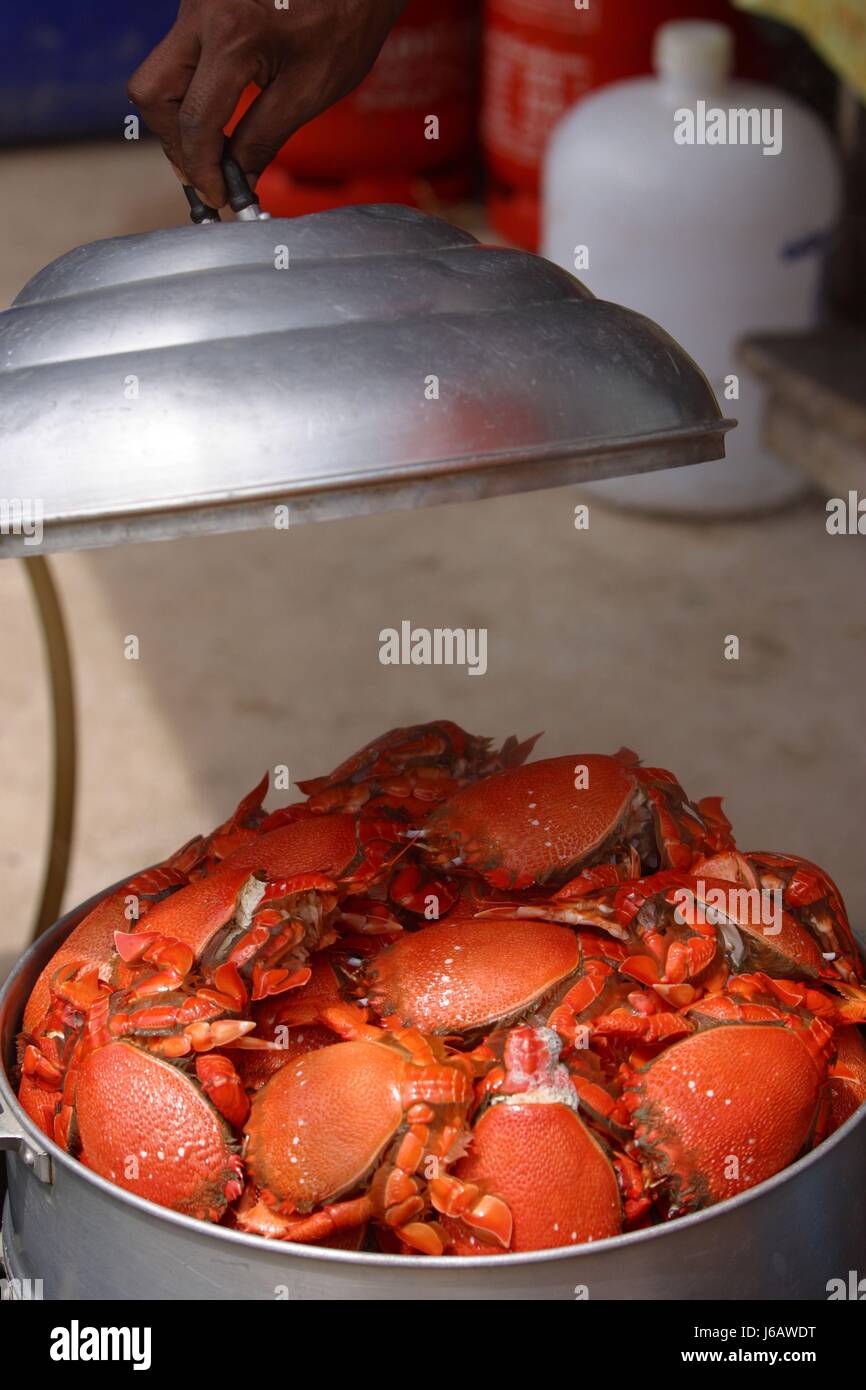 food aliment presentation industry steel bucket vessel metal kitchen ...