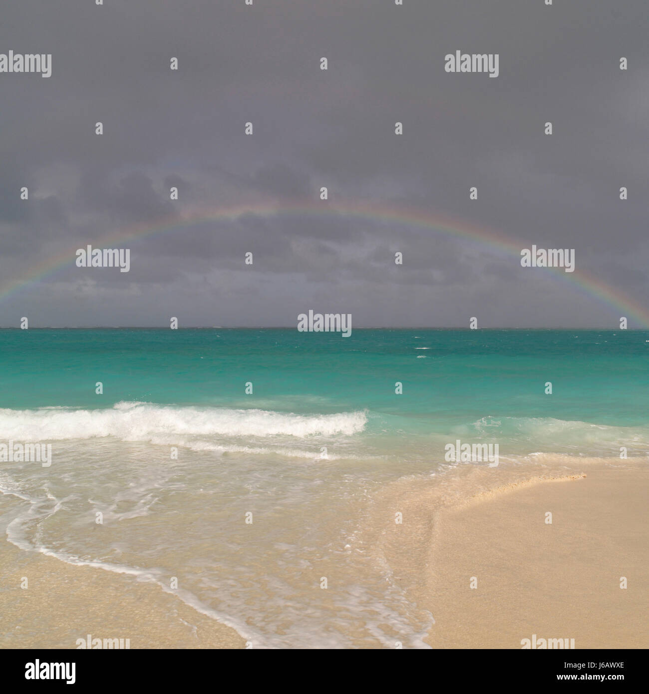 colour horizon coloured colourful gorgeous multifarious richly coloured ...