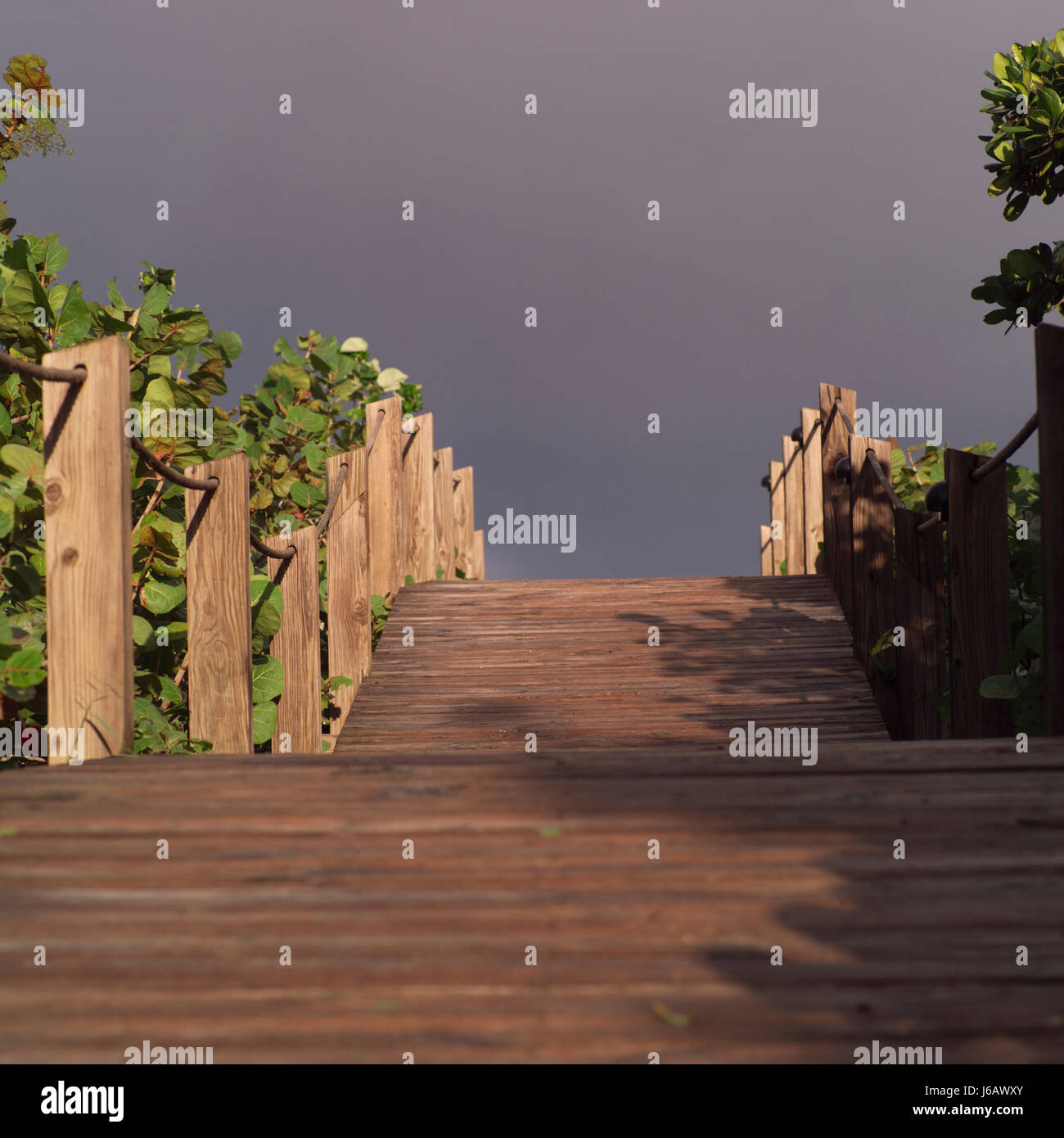 Parrot pole hi-res stock photography and images - Alamy