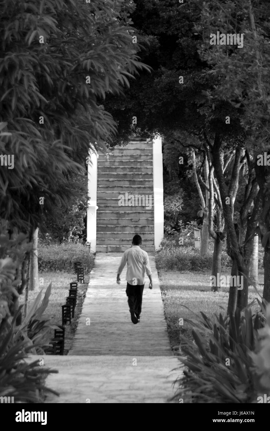 humans human beings people folk persons human human being walk go going ...