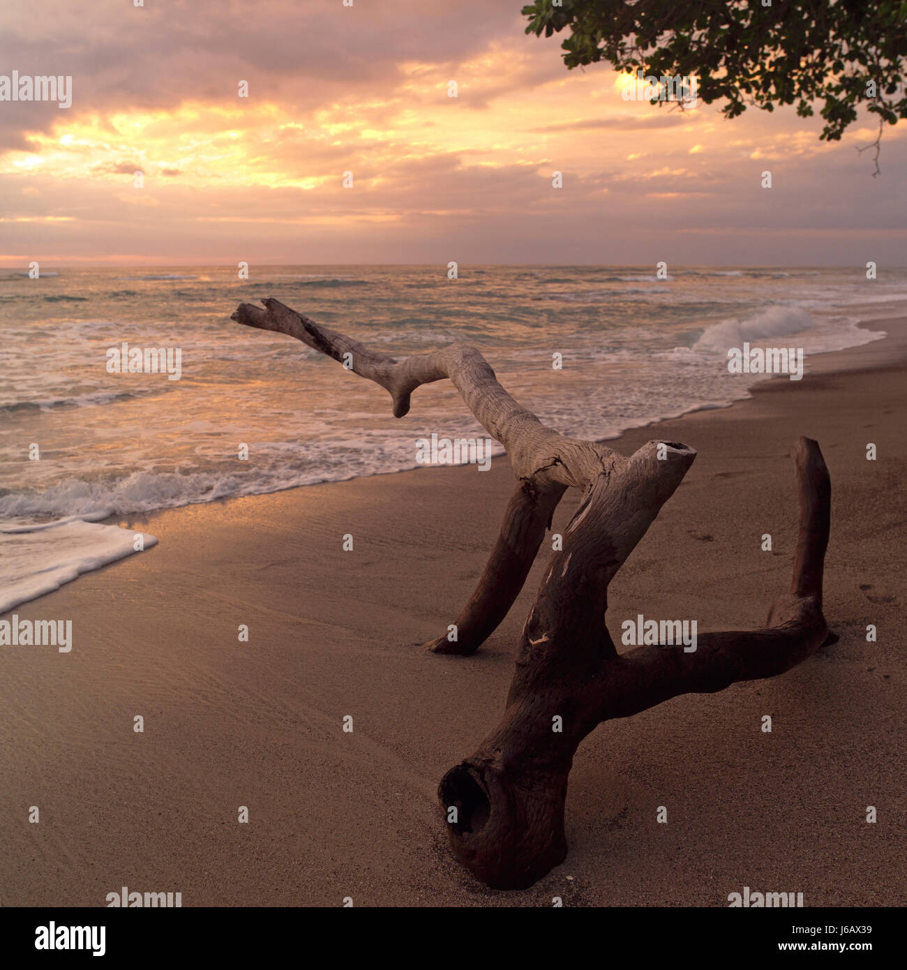wood sunset beach seaside the beach seashore sunrise waves central ...