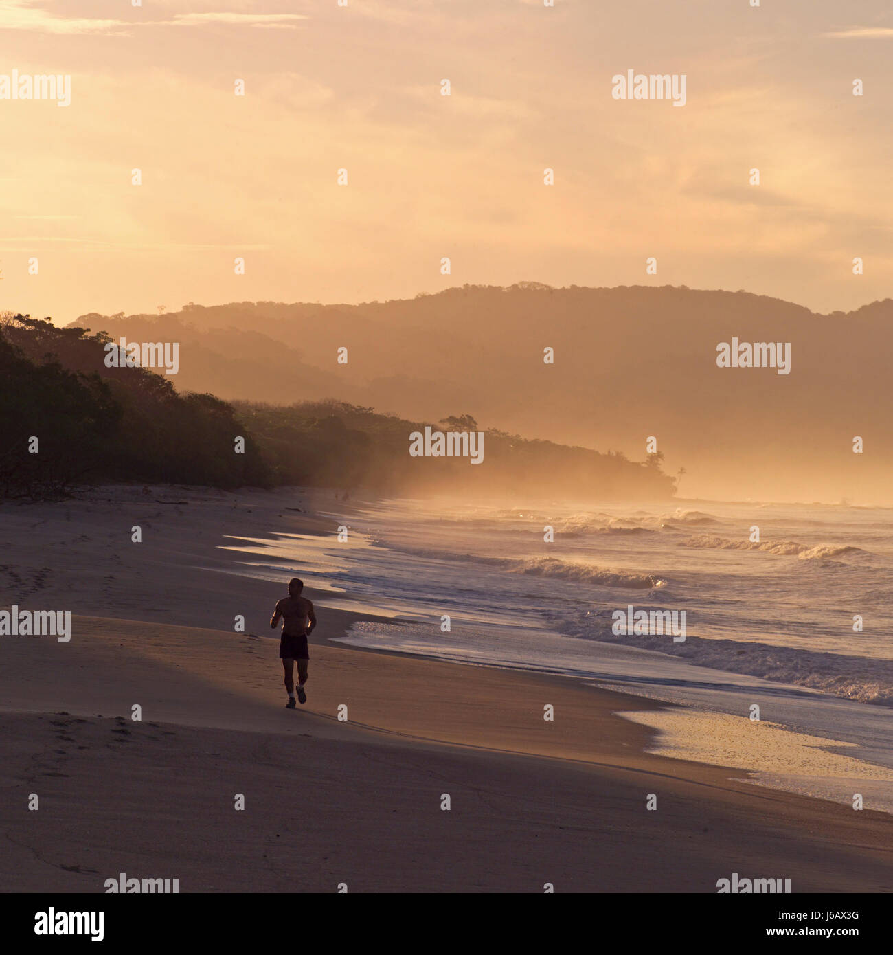 humans human beings people folk persons human human being walk go going ...