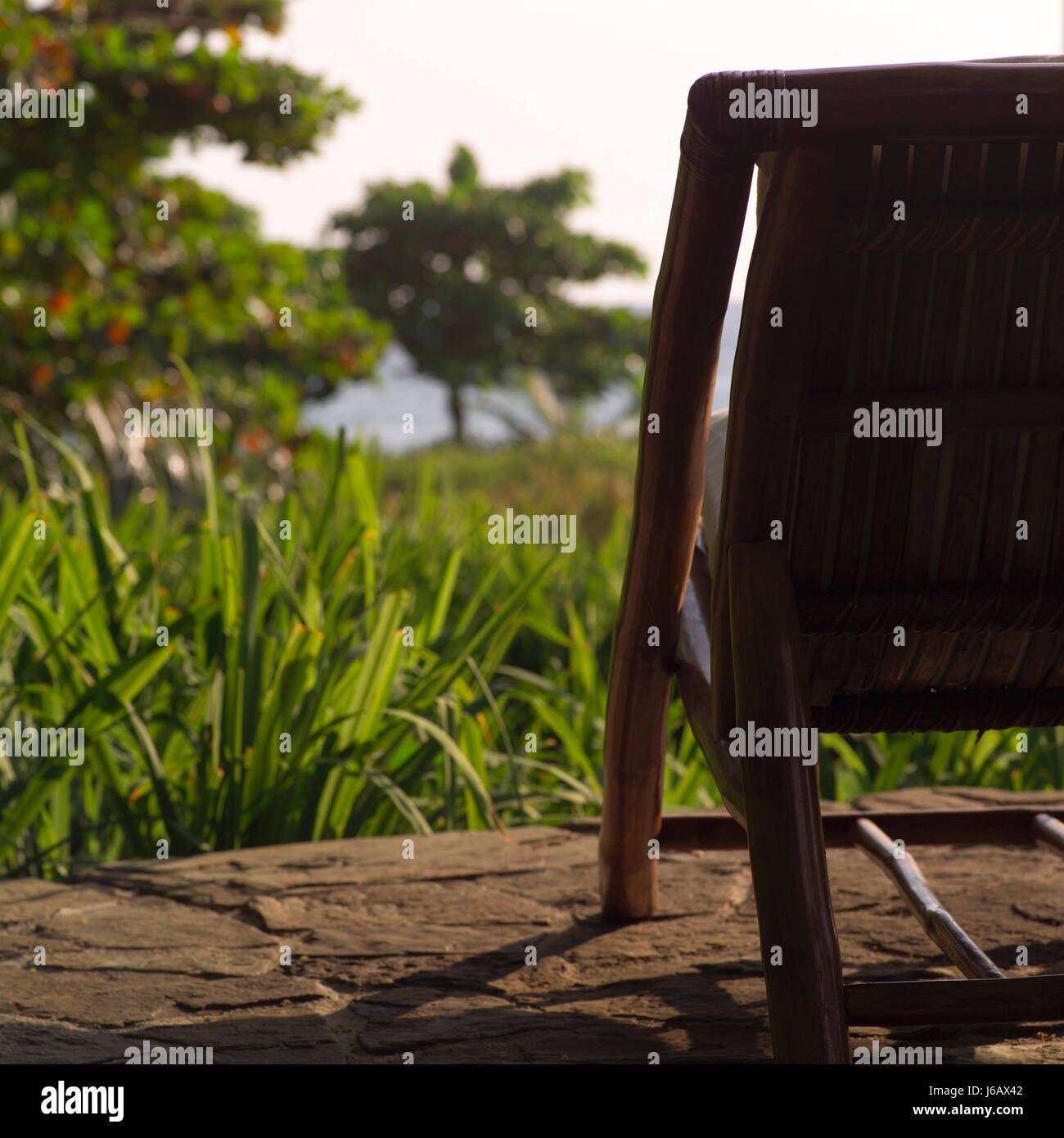 tree trees field chairs fields central deck chair forest lounge chairs ...