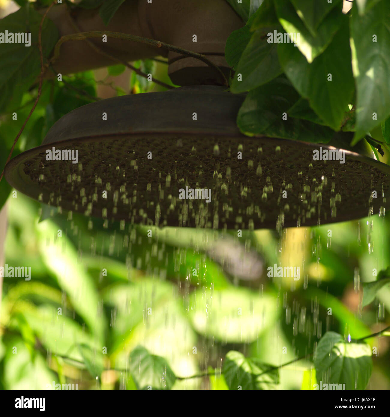 flow showers central america shower drip shower head spout faucet ...