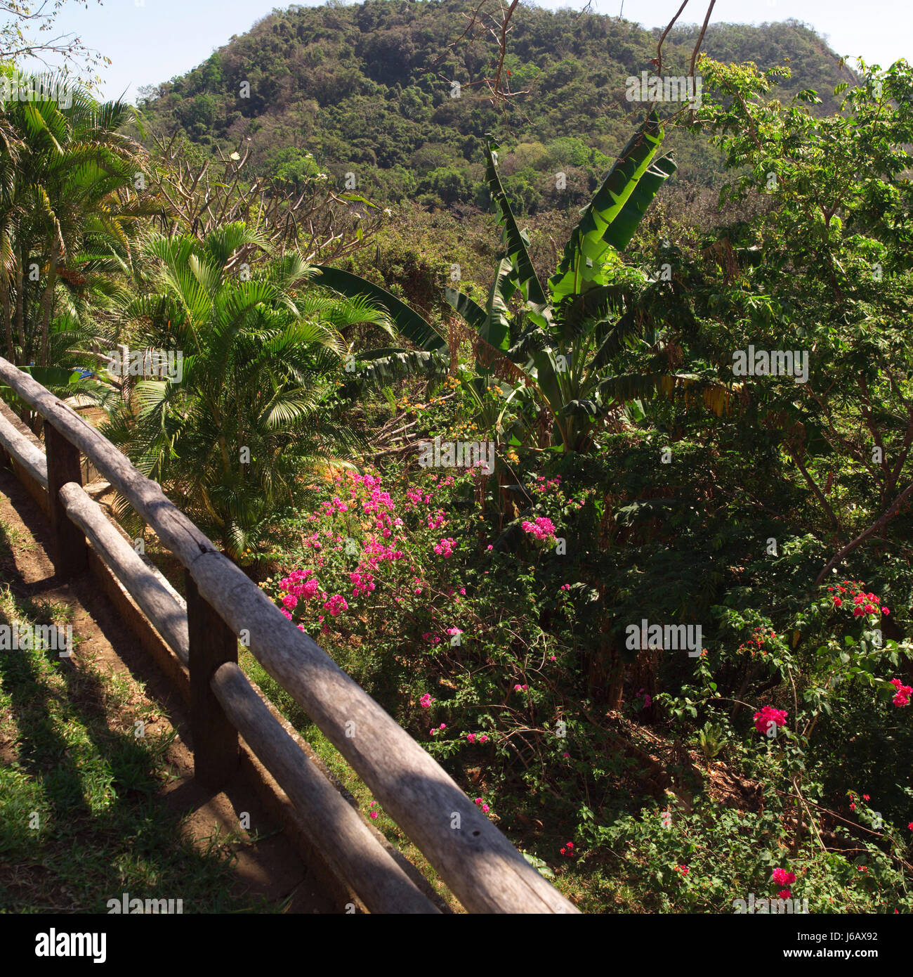 tree trees hill rail central america railing railway rails landscape ...