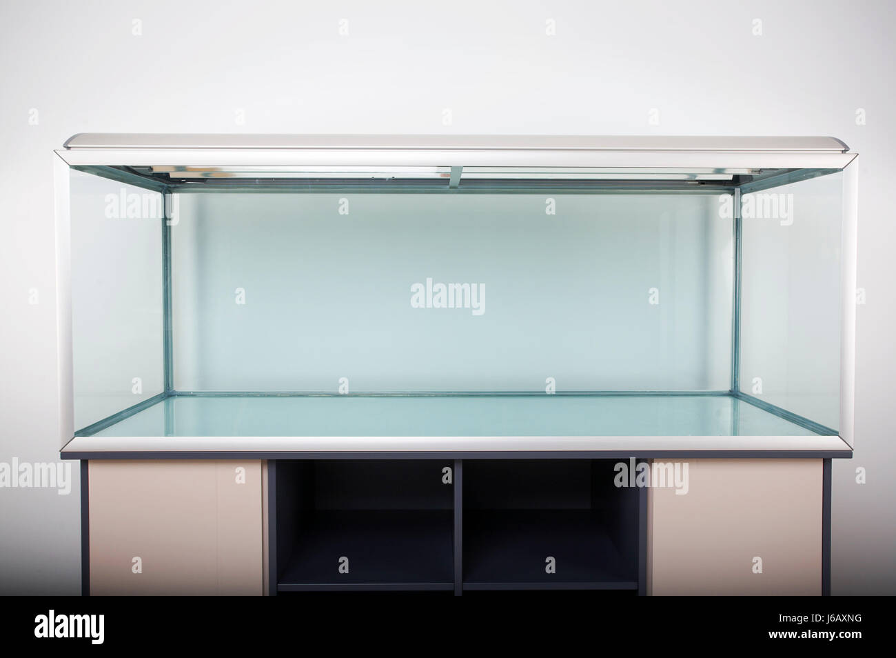 isolated model design project concept plan draft pet aquarium fish ...