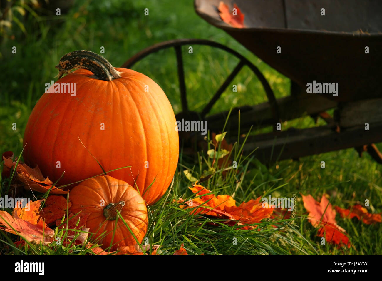 Naughty by nature hi-res stock photography and images - Alamy