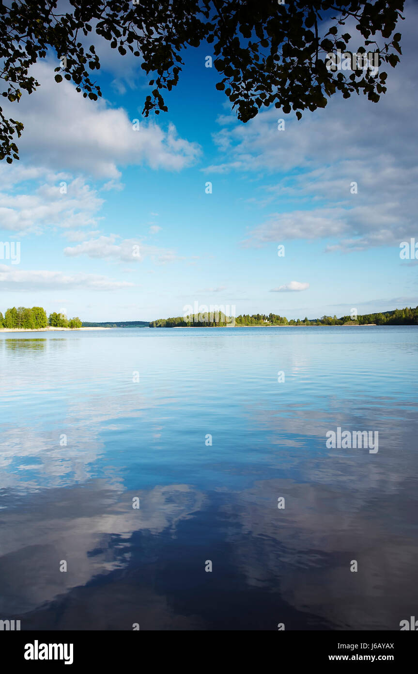 leaf environment enviroment tree reflection woods calm fresh water lake ...