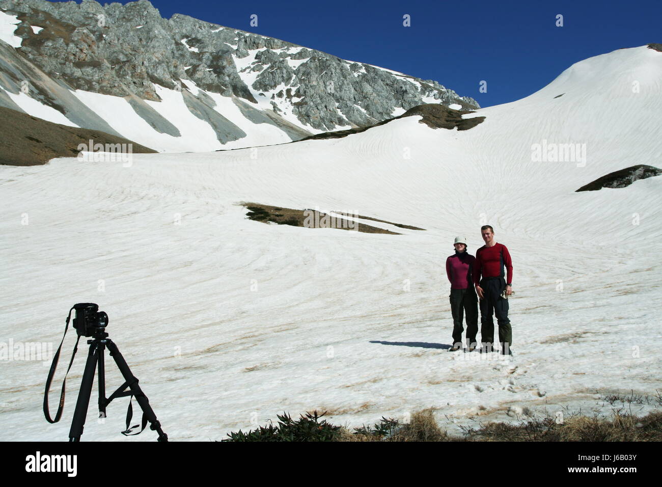 humans human beings people folk persons human human being travel female ...