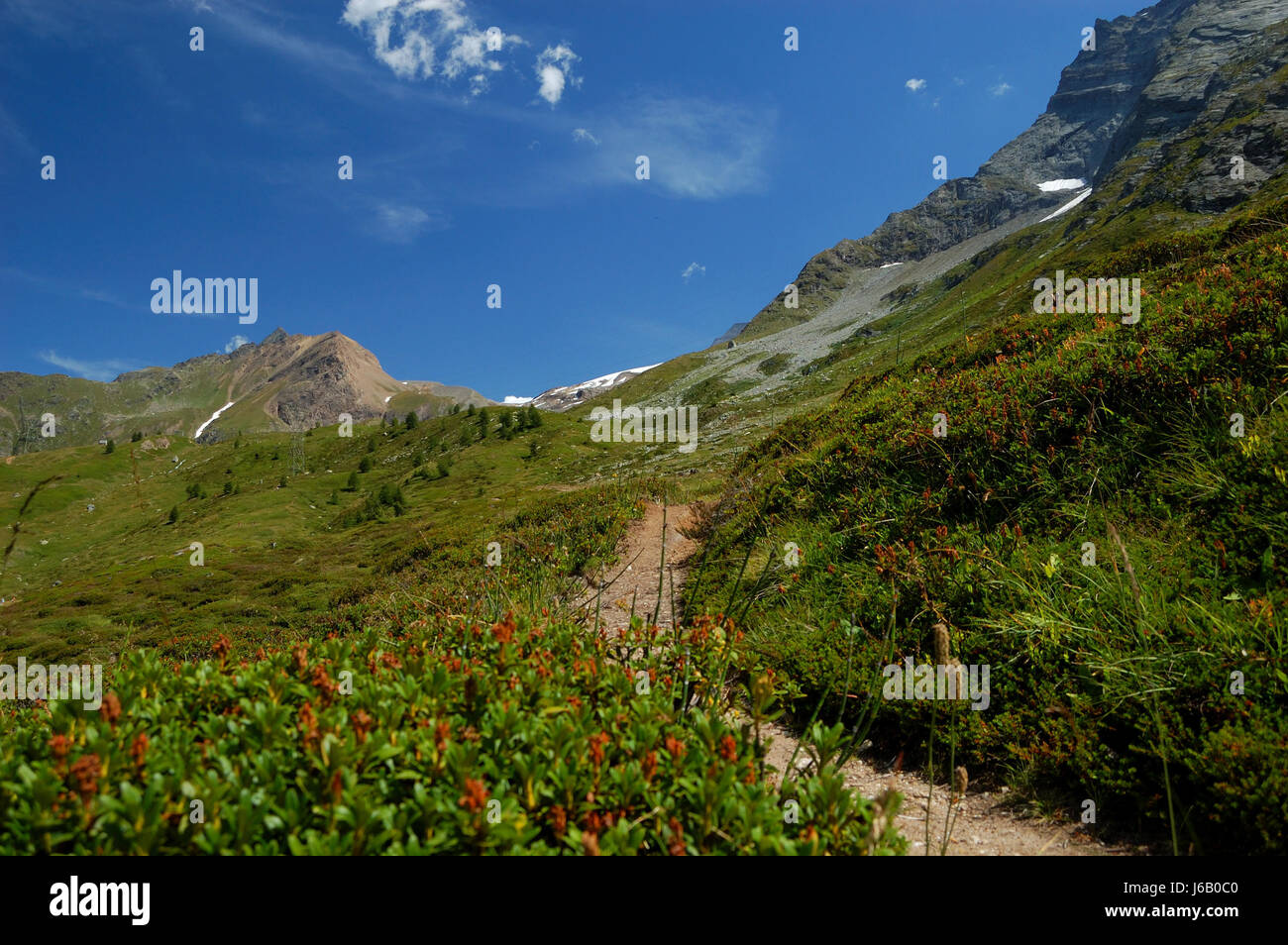 alps path way blue travel tree hill mountains horizon park stone ...