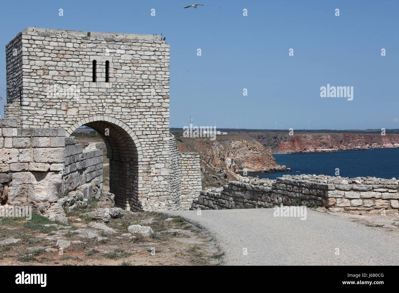 Kalakra hi-res stock photography and images - Alamy