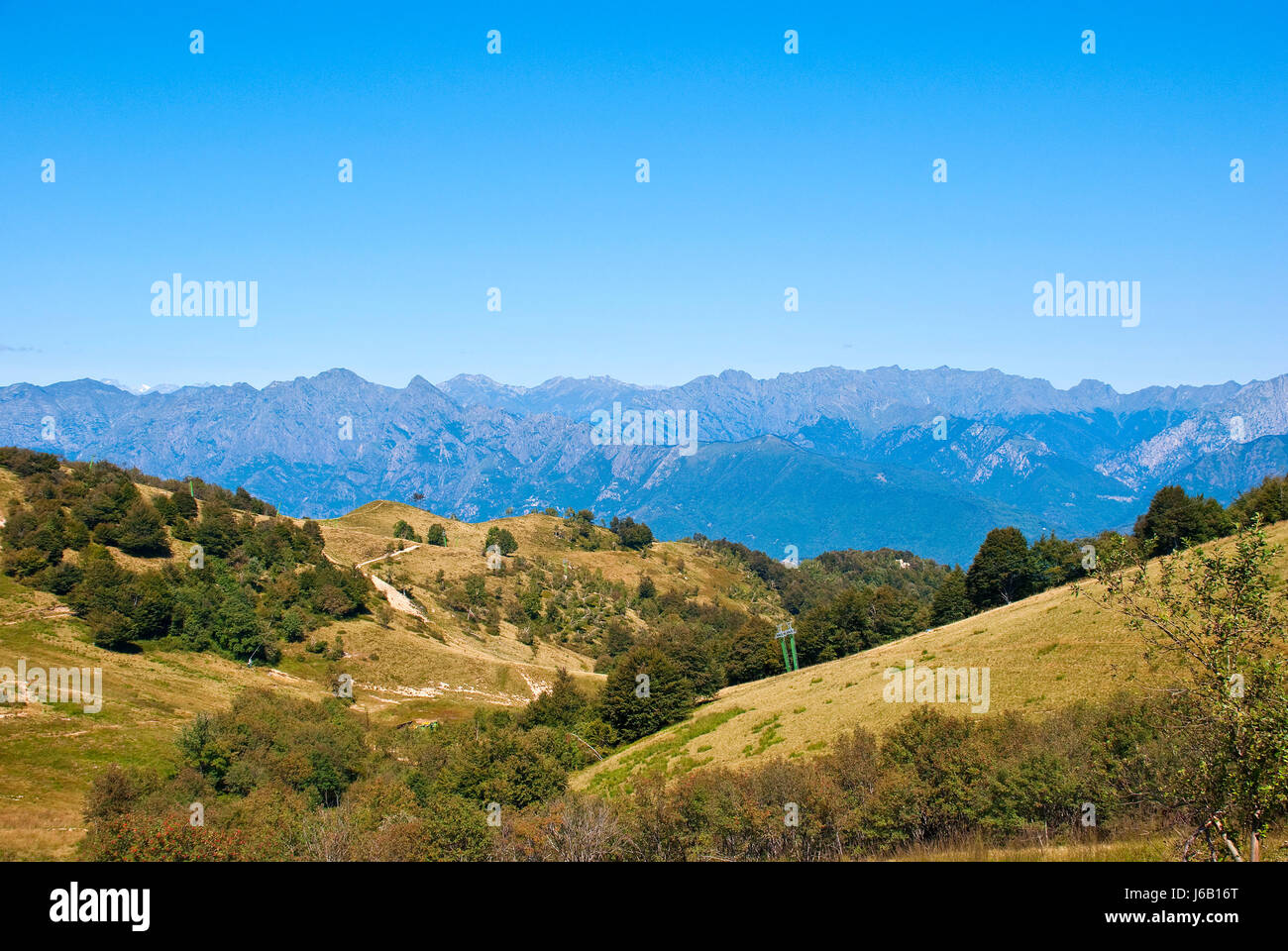 alps europe italy tree trees alps bushes sight view outlook perspective ...