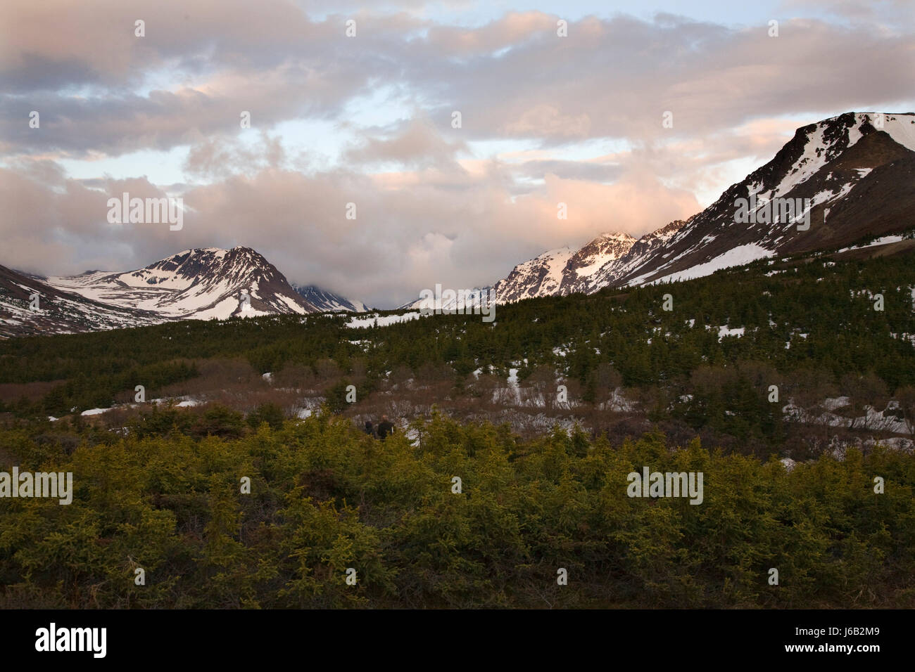 snow coke cocaine material drug anaesthetic addictive drug anchorage ...