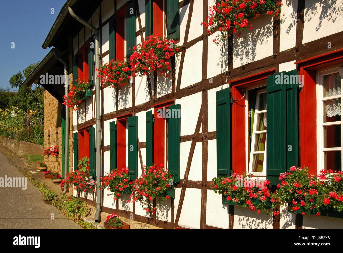 shutters shutter geranium geraniums house building green window ...