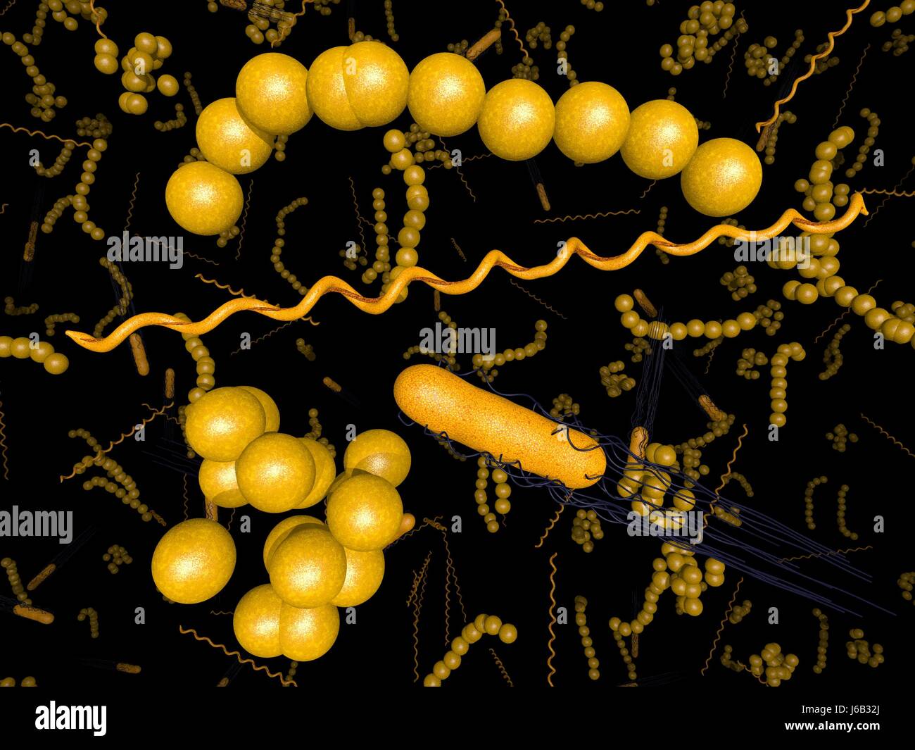 disease pathogen illness sickness bacteria borrelia streptococcus Stock ...