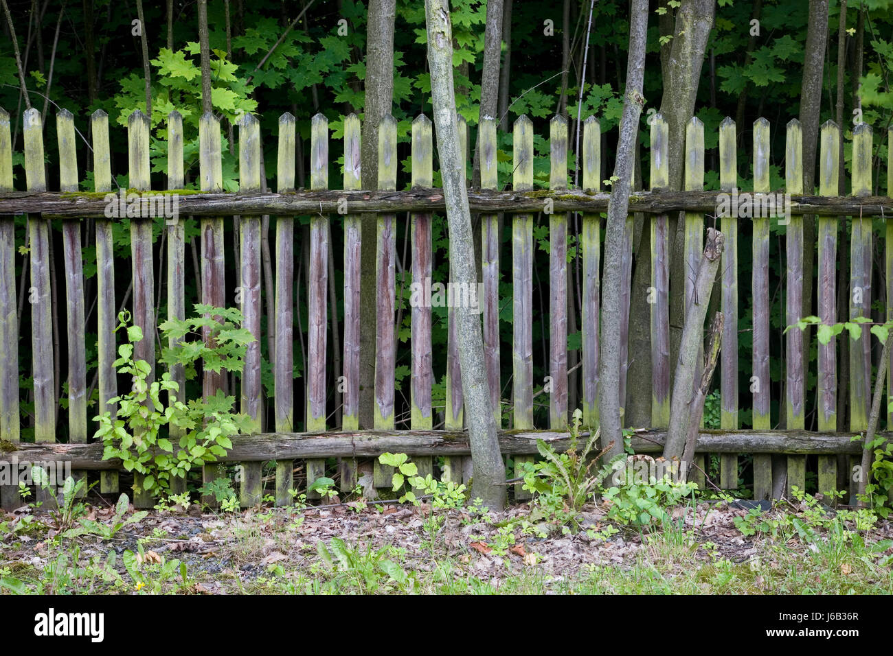 garden fence fences gardens garden fence tree trees garden green wood ...