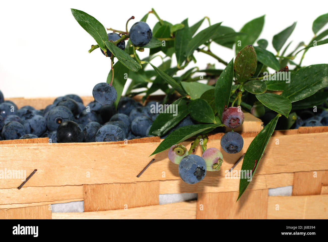 basket fruit berries berry huckleberries blueberry blue vitamins ...
