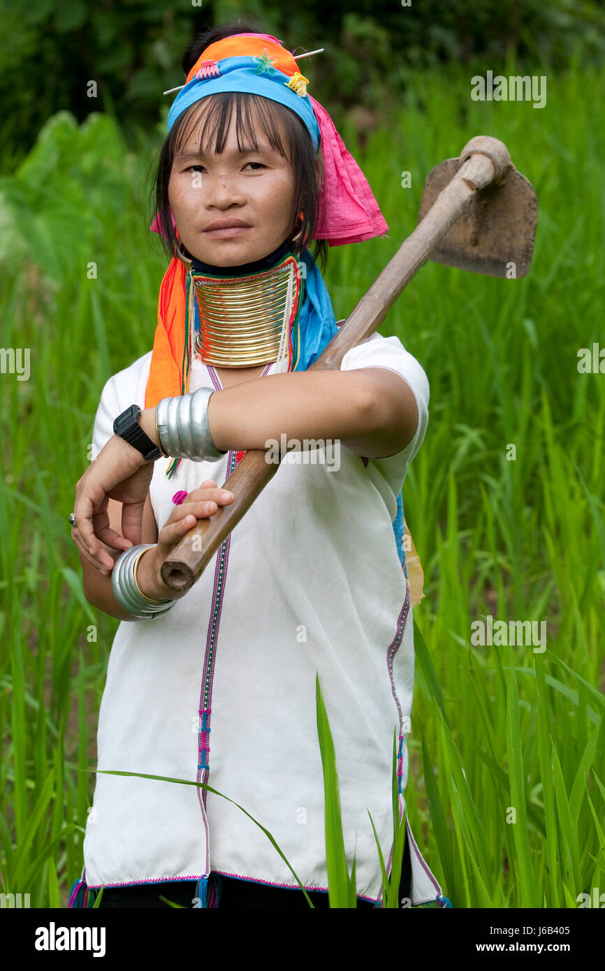 Long neck hi-res stock photography and images - Alamy