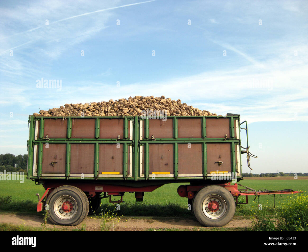 Zuckerrbenernte hi-res stock photography and images - Alamy